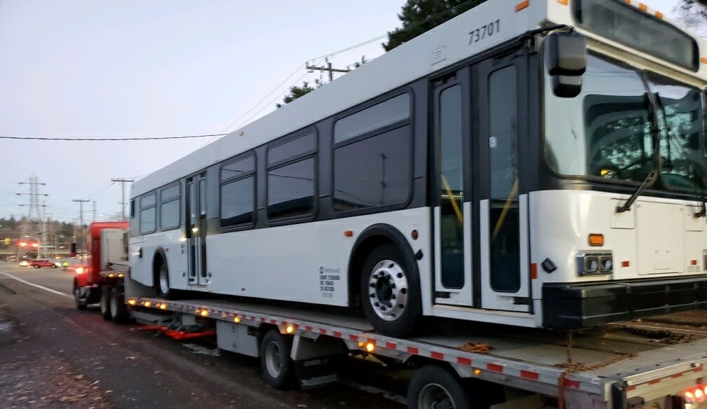 The Most Common Types Of Buses And How To Transport